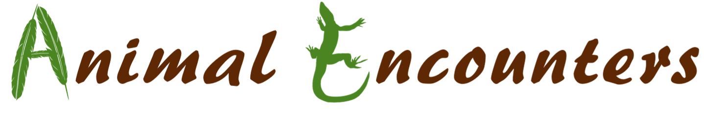 South West Animal Services – Animal Encounters and Reptile Consultancy ...